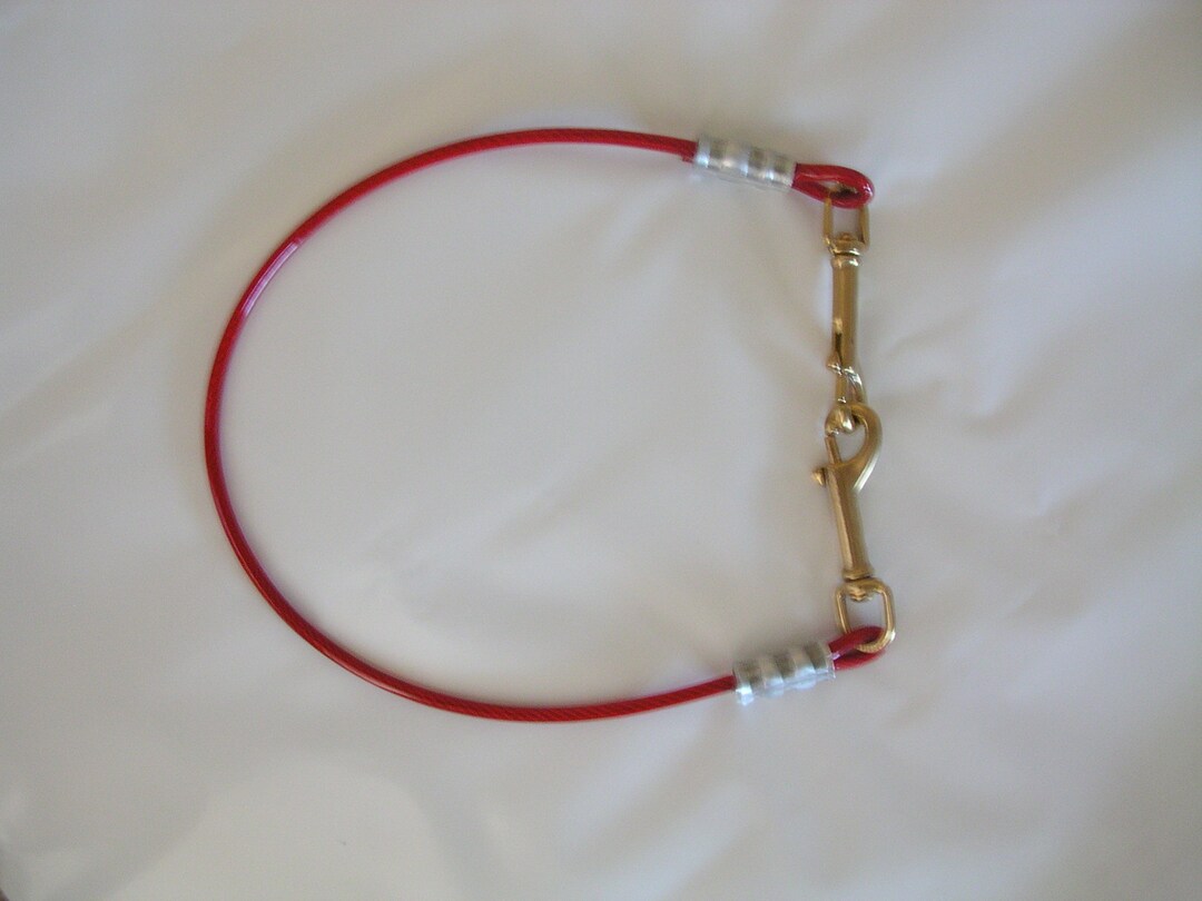 Pet Tethers 2' - Etsy