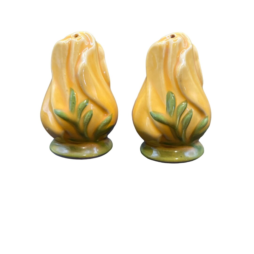 Franciscan Poppy Poppies Salt and Pepper Shaker Set in Great Condition ...
