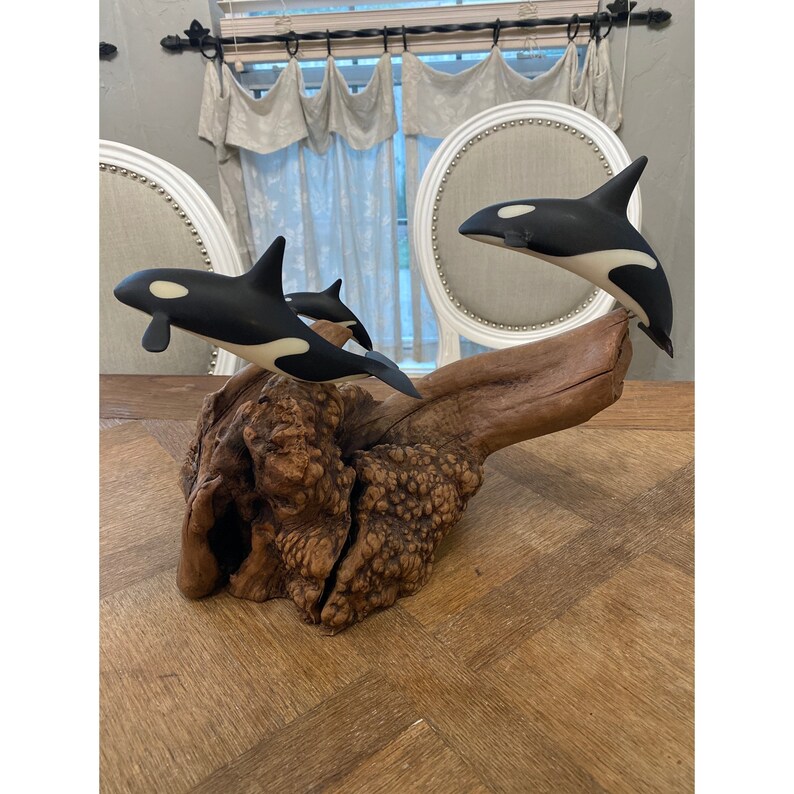 John Perry Orca Killer Whale Pod Family With Baby Two Adult Whales on ...