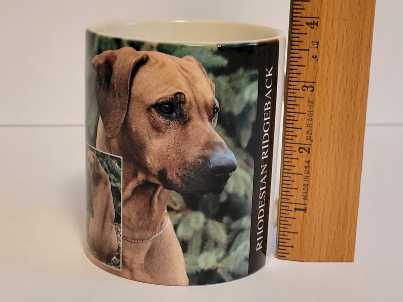 Coffee Mug Rhodesian Ridgeback Dog Photo Barbara Augello - Etsy