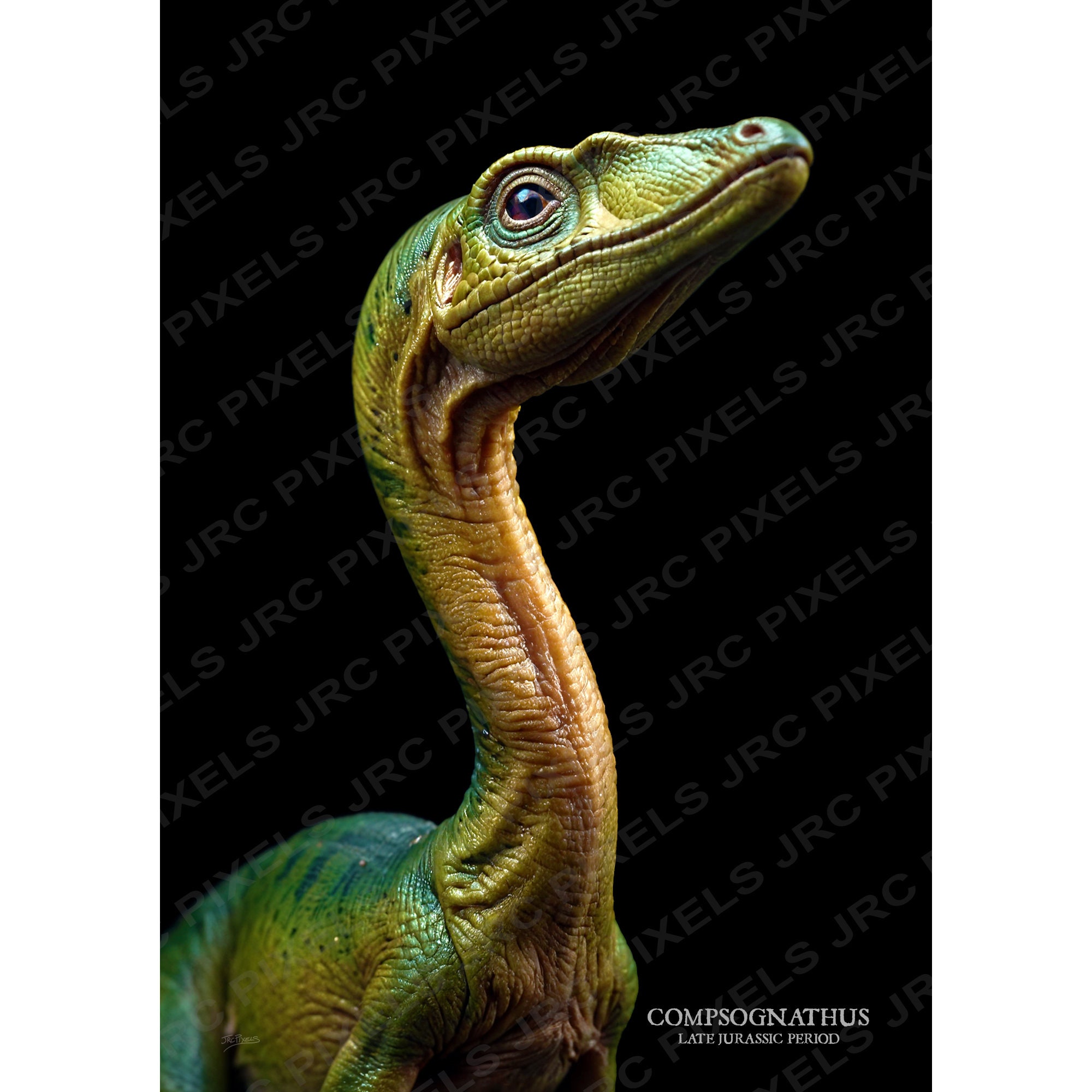Compsognathus | Dinosaur Wall Art Prints | Hollywood Quality Poster ...