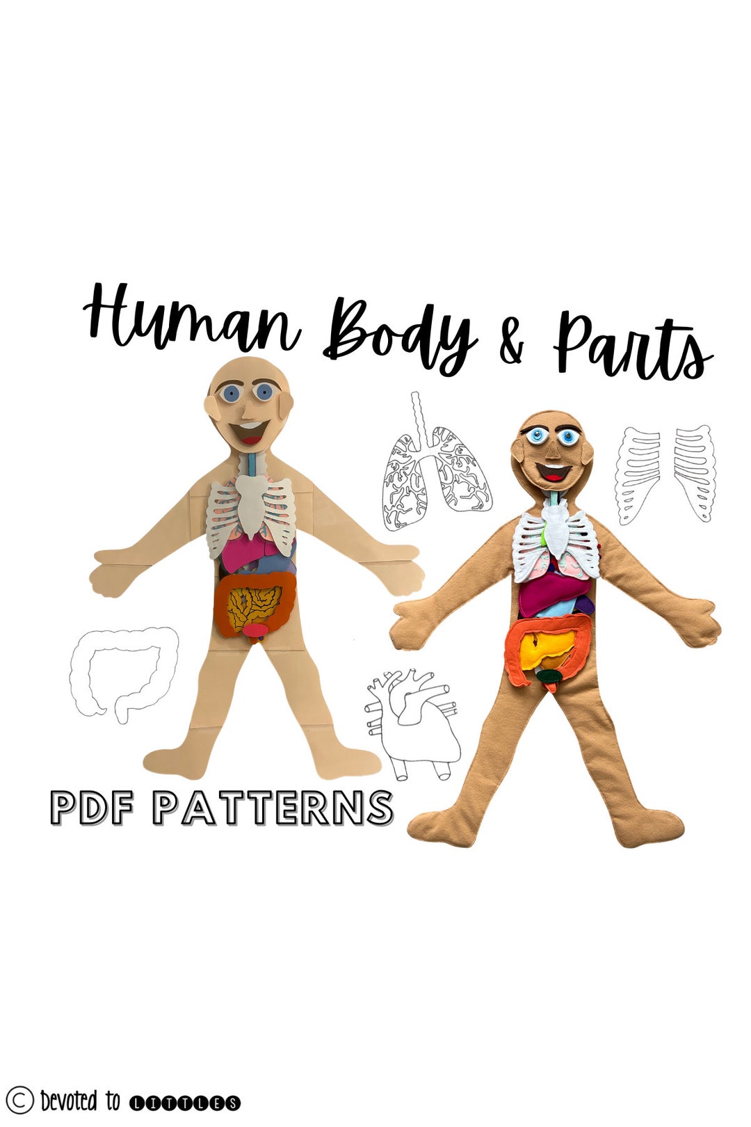 The Human Body and Body Parts PATTERNS Classical Conversations Cycle 3 ...