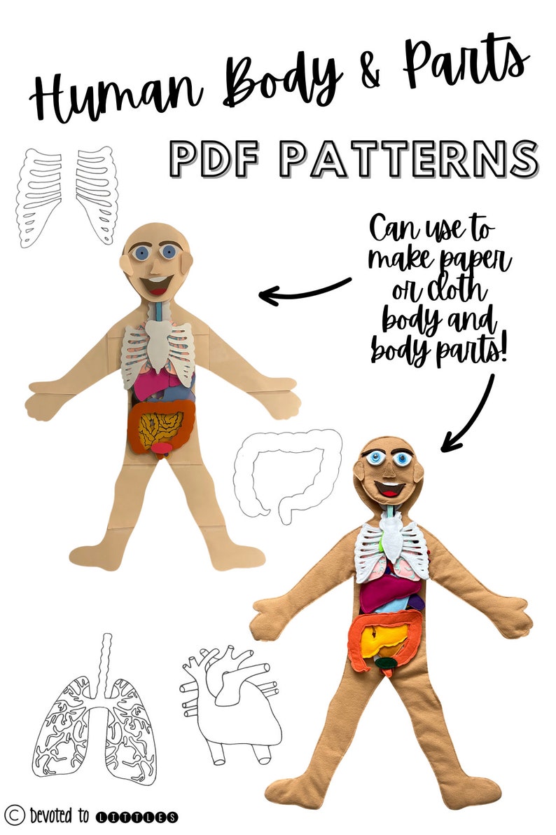 The Human Body and Body Parts PATTERNS; Classical Conversations Cycle 3 ...