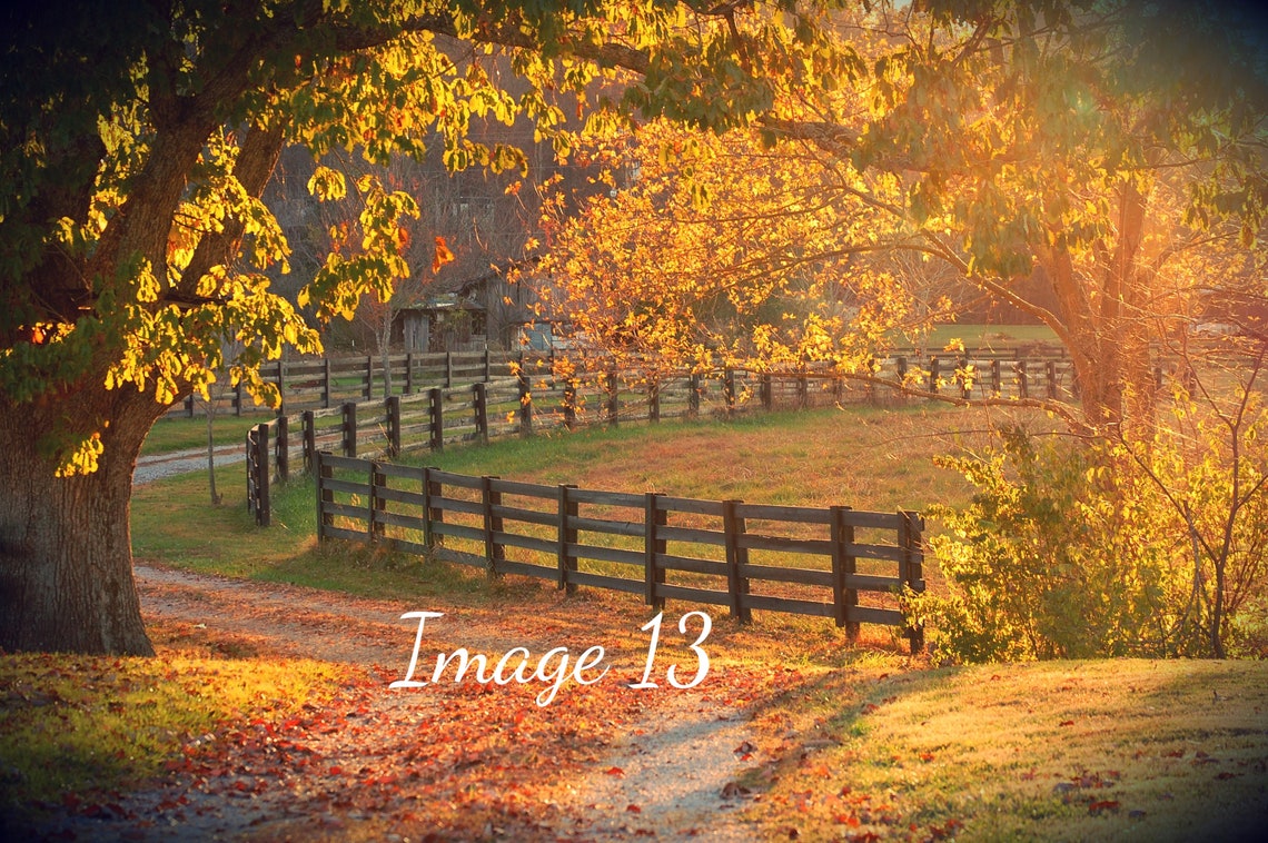 Kentucky Autumn Landscape Photography: Rustic Farm Art Print - Etsy