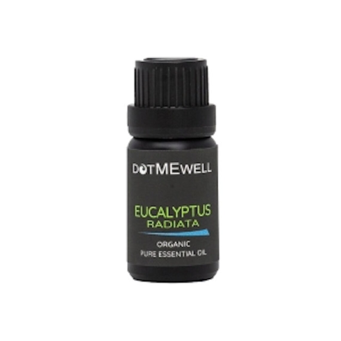 Holistic Essential Pure Aromatherapy Oil (SET) - Etsy