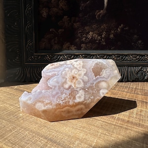 Pink Flower Agate Freeform With Beautiful Druzy Cave and Gorgeous ...