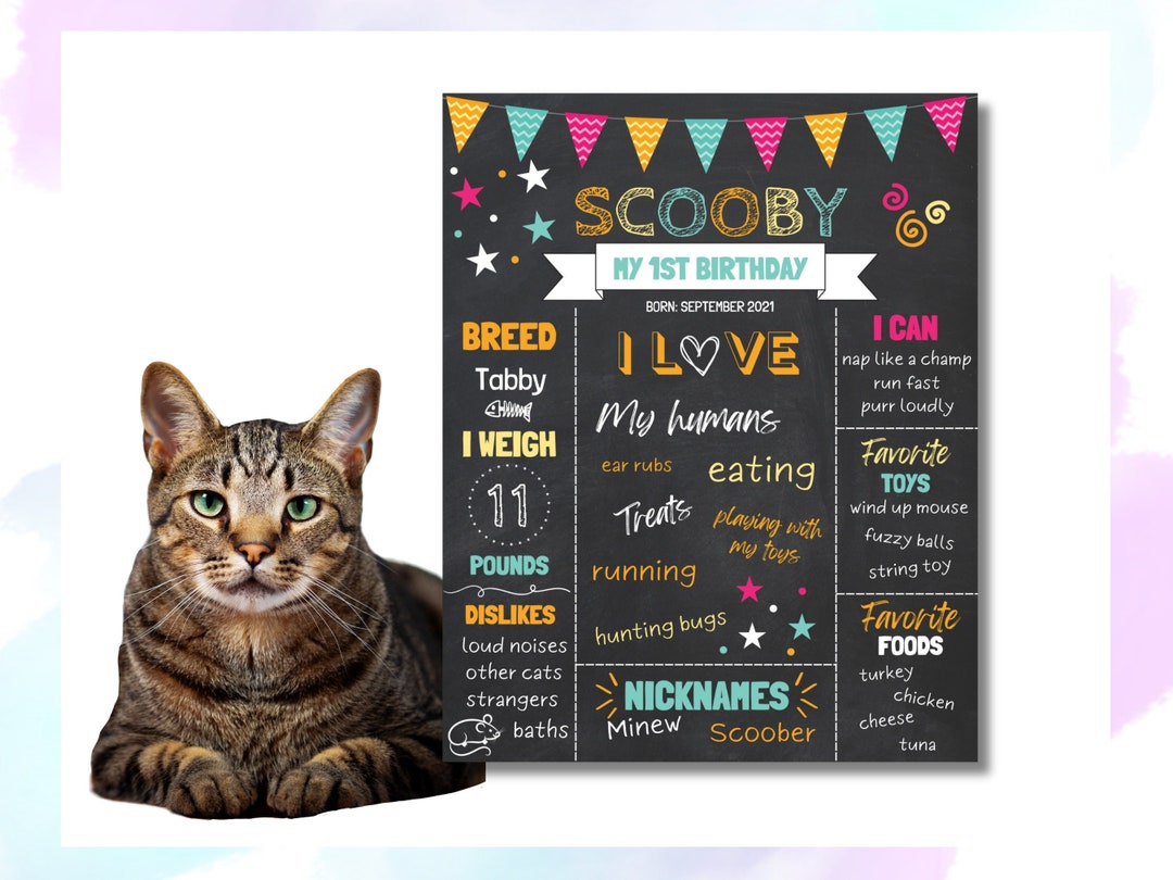 Printable Cat Birthday Chalkboard Sign Cat Milestone Birthday Board ...