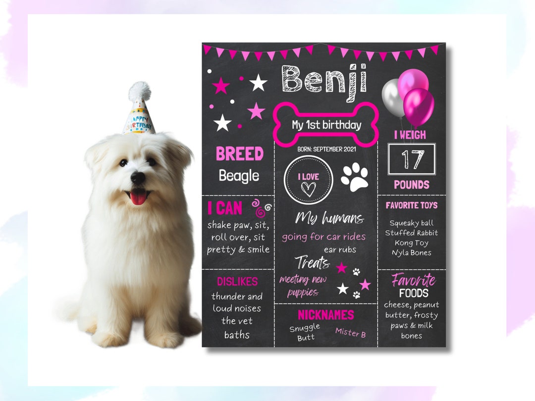A3 Sized Dog Birthday Chalkboard Sign, Pet Milestone Birthday Board ...