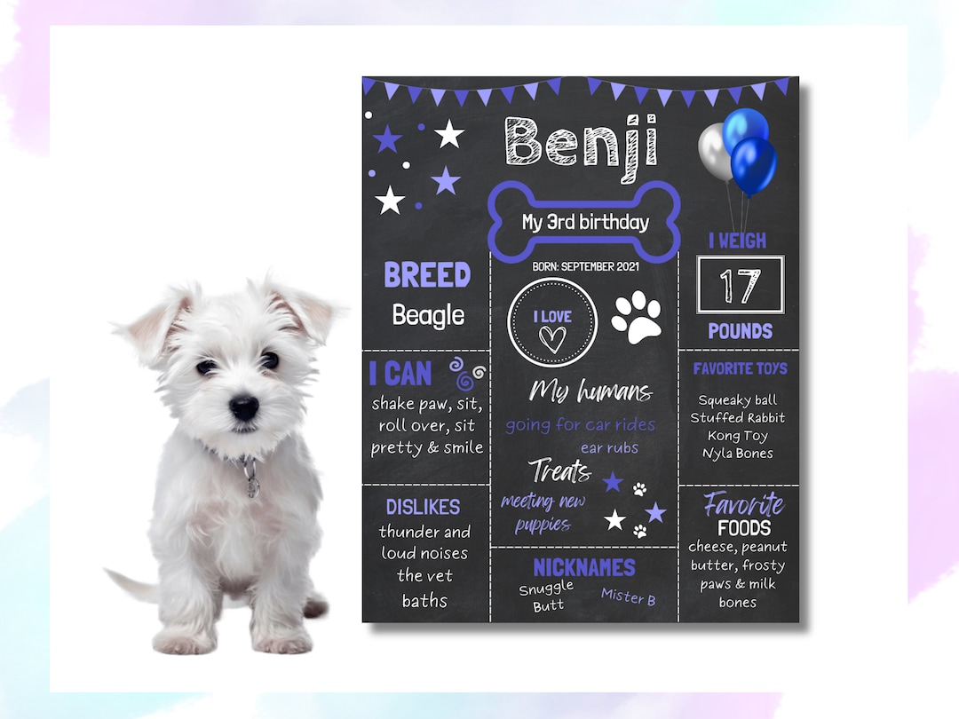 Dog Birthday Chalkboard Sign, Dog Milestone Birthday Board, Photo Prop ...