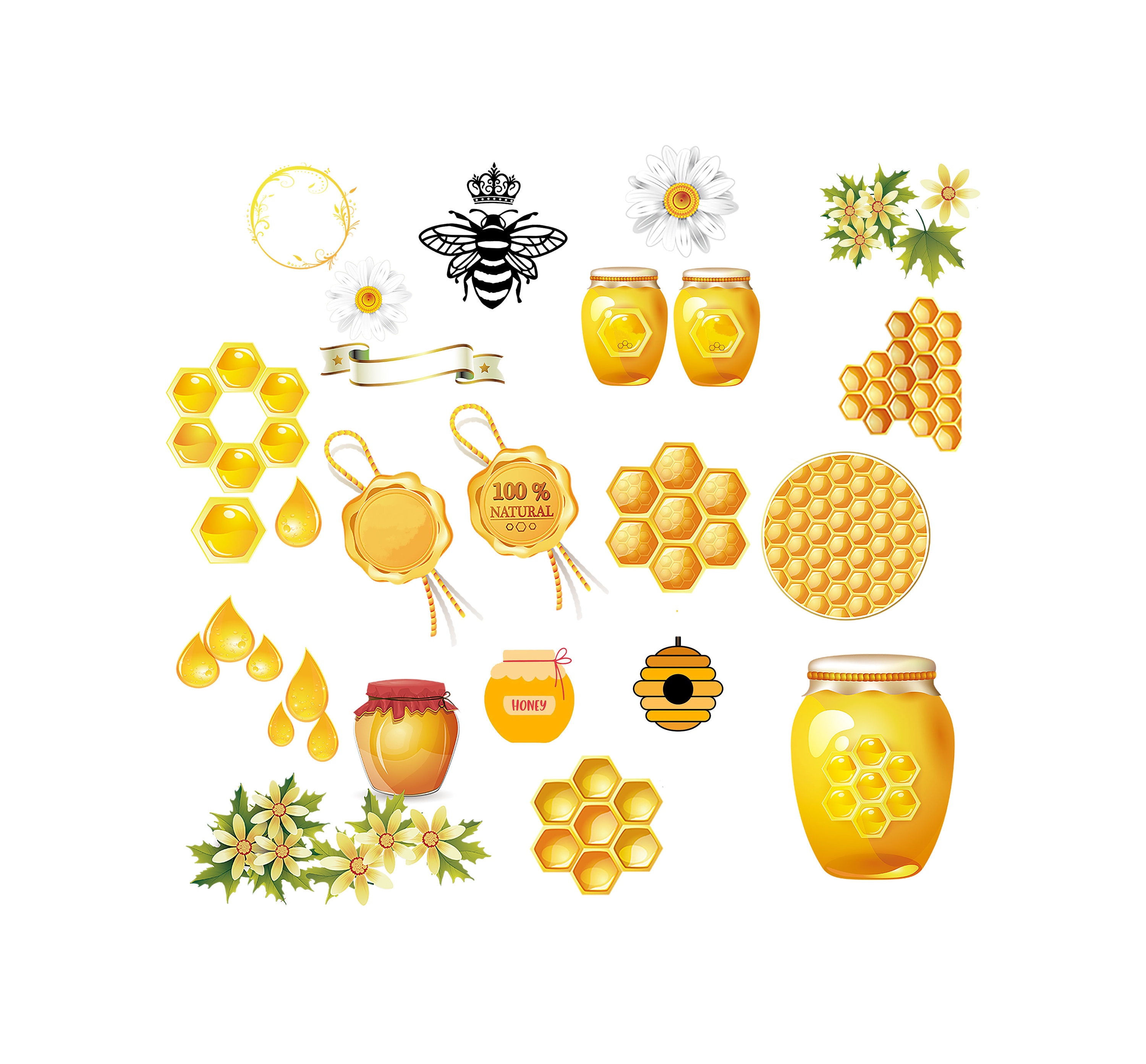 Bee Png Bee Png, Honeycomb Png, Bee Clipart, Queen Bee Sublimation, Bee ...