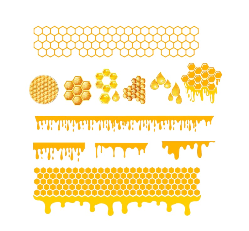 Honeycomb & Bee Clipart: Queen Bee, Beehive PNG Bundle (digital ...