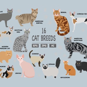 16 Breeds of Cats Chart, Poster With Cat Breeds, Cat, Pets Svg, Jpg ...