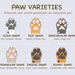 Your Pet's Personality by Paw. Paw Varieties. Dog Paws (dogs) 1svg ...