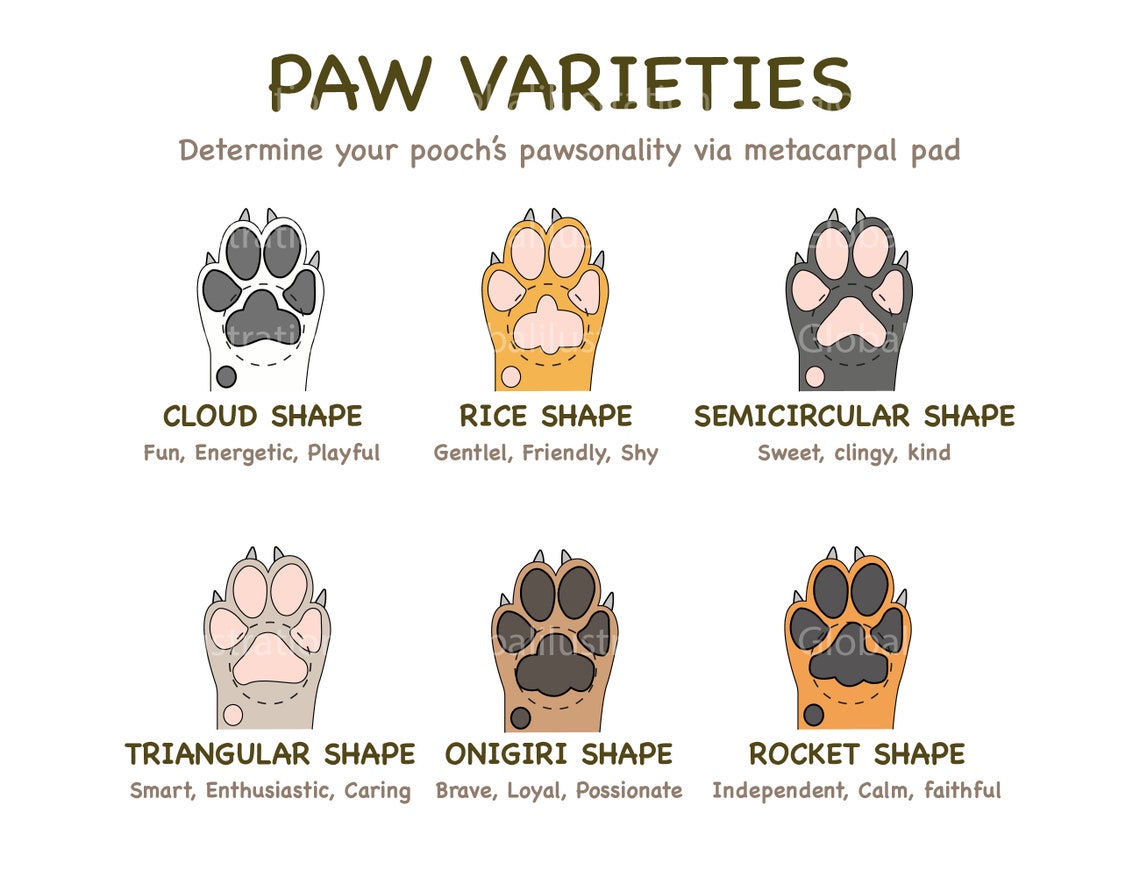 Your Pet's Personality by Paw. Paw Varieties. Dog Paws (dogs) 1svg ...