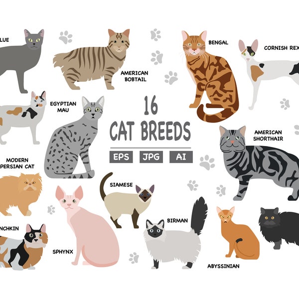 Quick Guide to Technical Analysis Charts. Crypto Candlestick Pattern in SVG & PDF, Jpg, Png, Ai ...