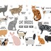 16 Breeds of Cats Chart, Poster With Cat Breeds, Cat, Pets Svg, Jpg ...