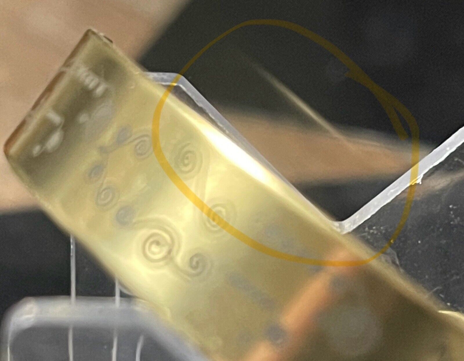 Bioenergetic Geometry Skin, Hair, and Scalp Health With Healing Chladni ...