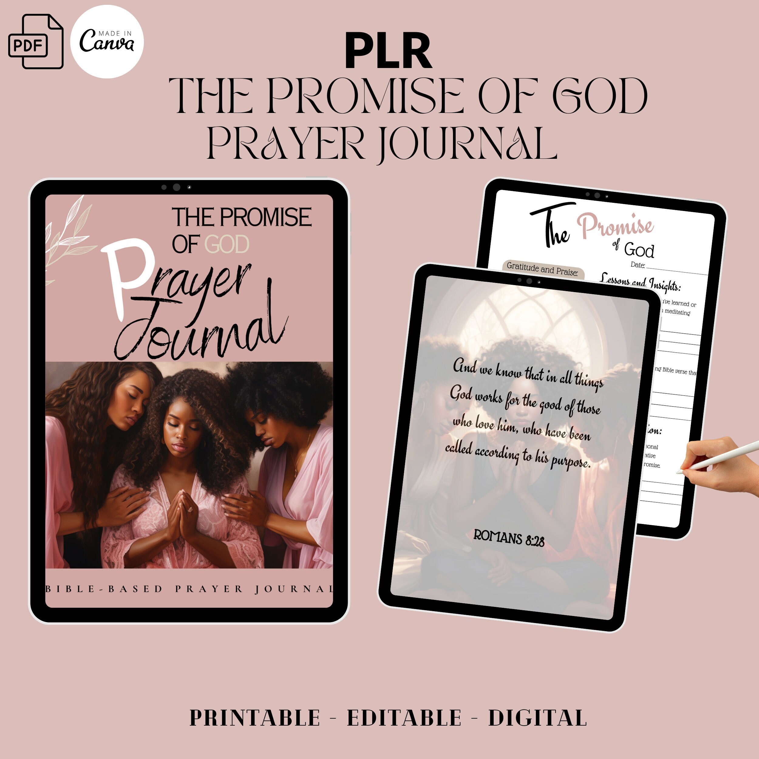 PLR Digital Journal, Promise of God Prayer Journal, Journal Prompts ...