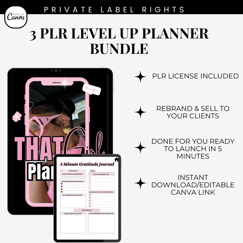 3 Level up Planners Bundle, Hyperlinked PLR Planner Bundles, Manifestation Planner, Business ...
