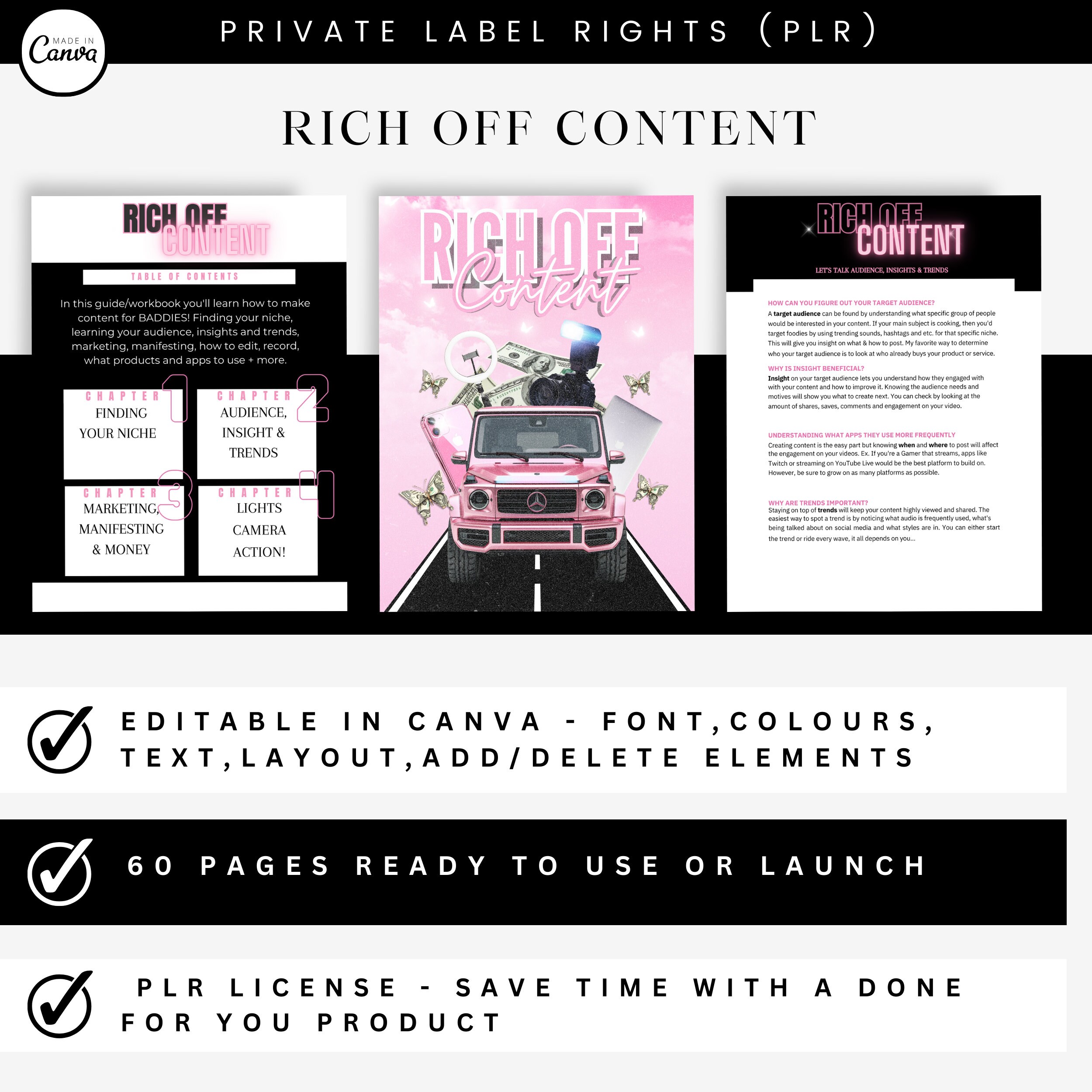 Rich off Content With PLR Ebook, Plr Planner, Plr, DFY Ebook, Done for ...