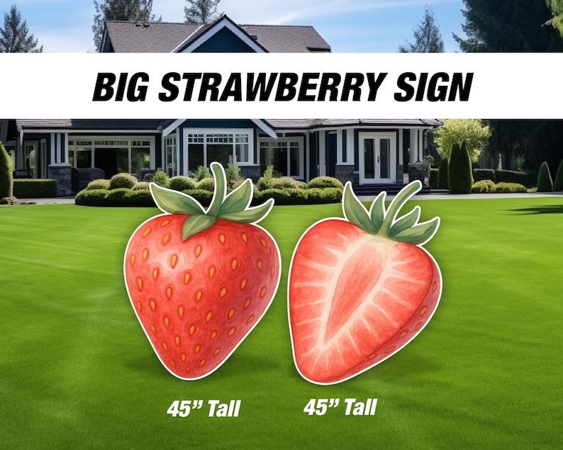 BIG Strawberry Cutouts, Prop Decoration Babyshower Berry Sweet One ...