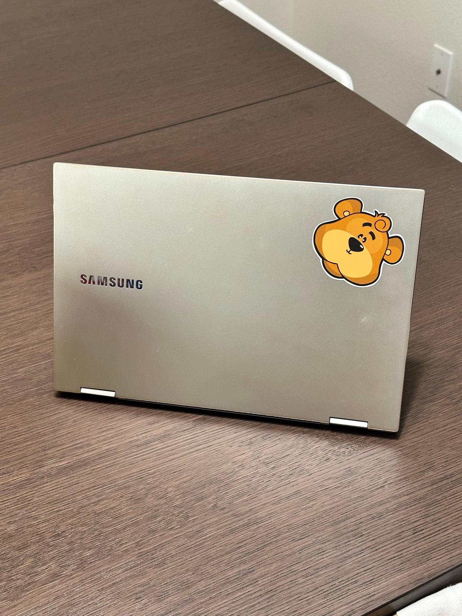 Big Bear Cub Buddy Laminated Vinyl Indoor Sticker - Etsy