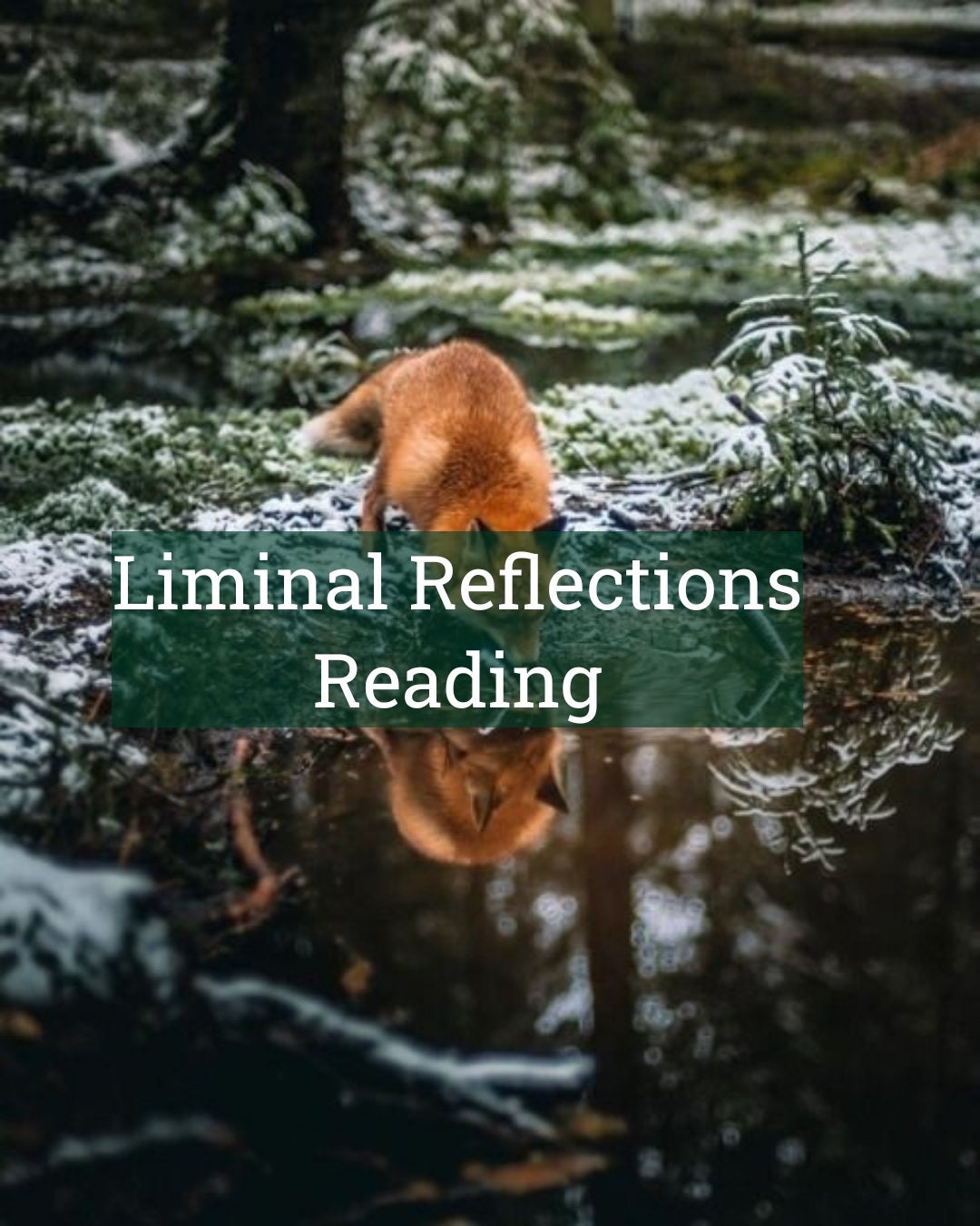 Liminal Reflections Reading - Etsy