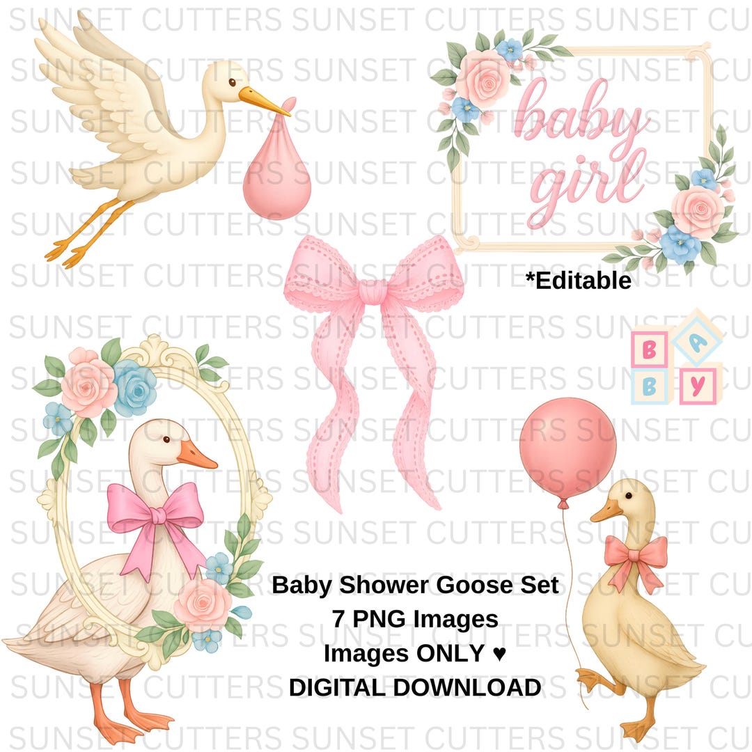 Imágenes PNG de ganso bebé, clipart de baby shower, clipart de bebé ...