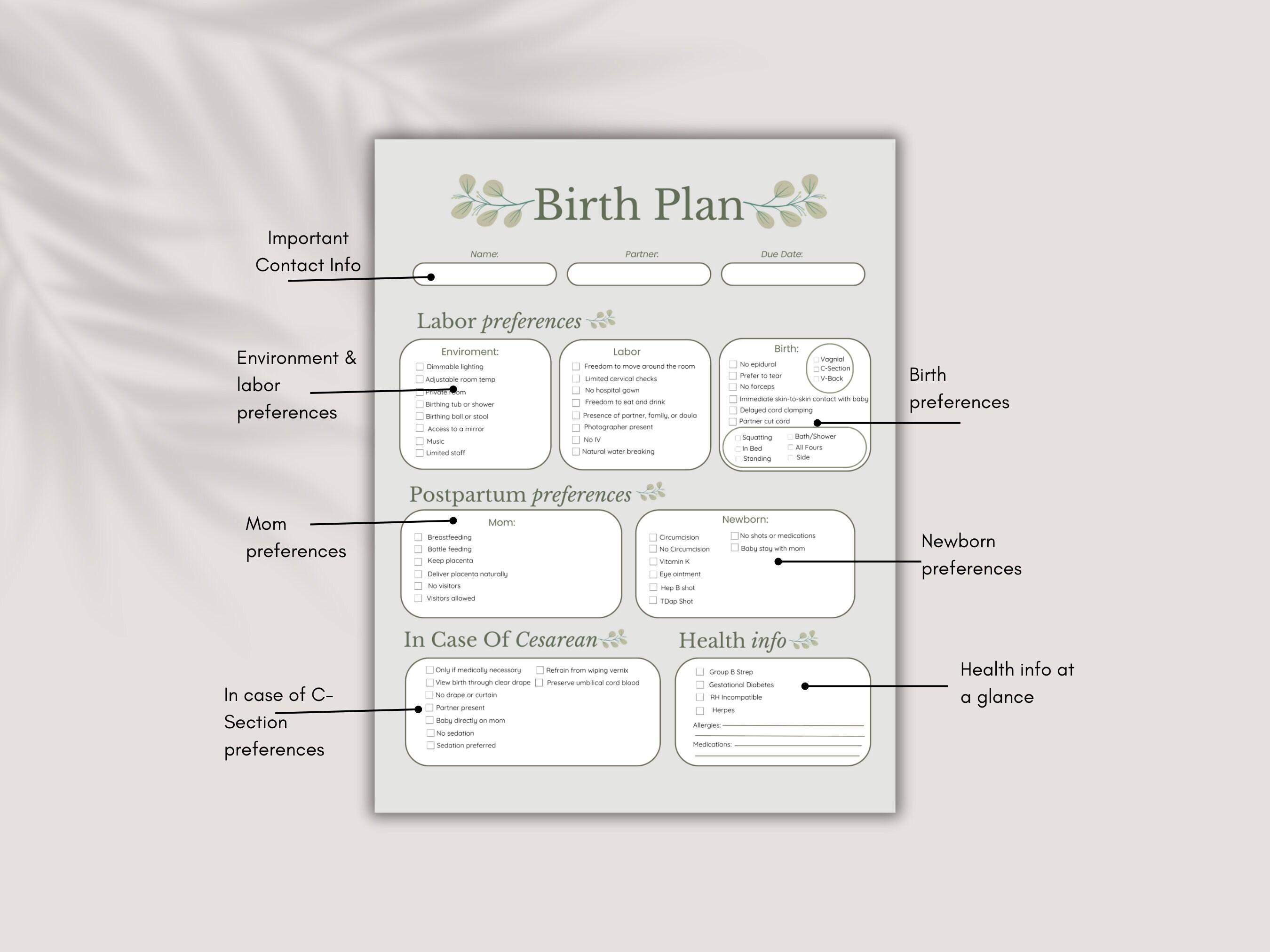Editable Birth Plan Template: Pregnancy Planner (canva) - Etsy