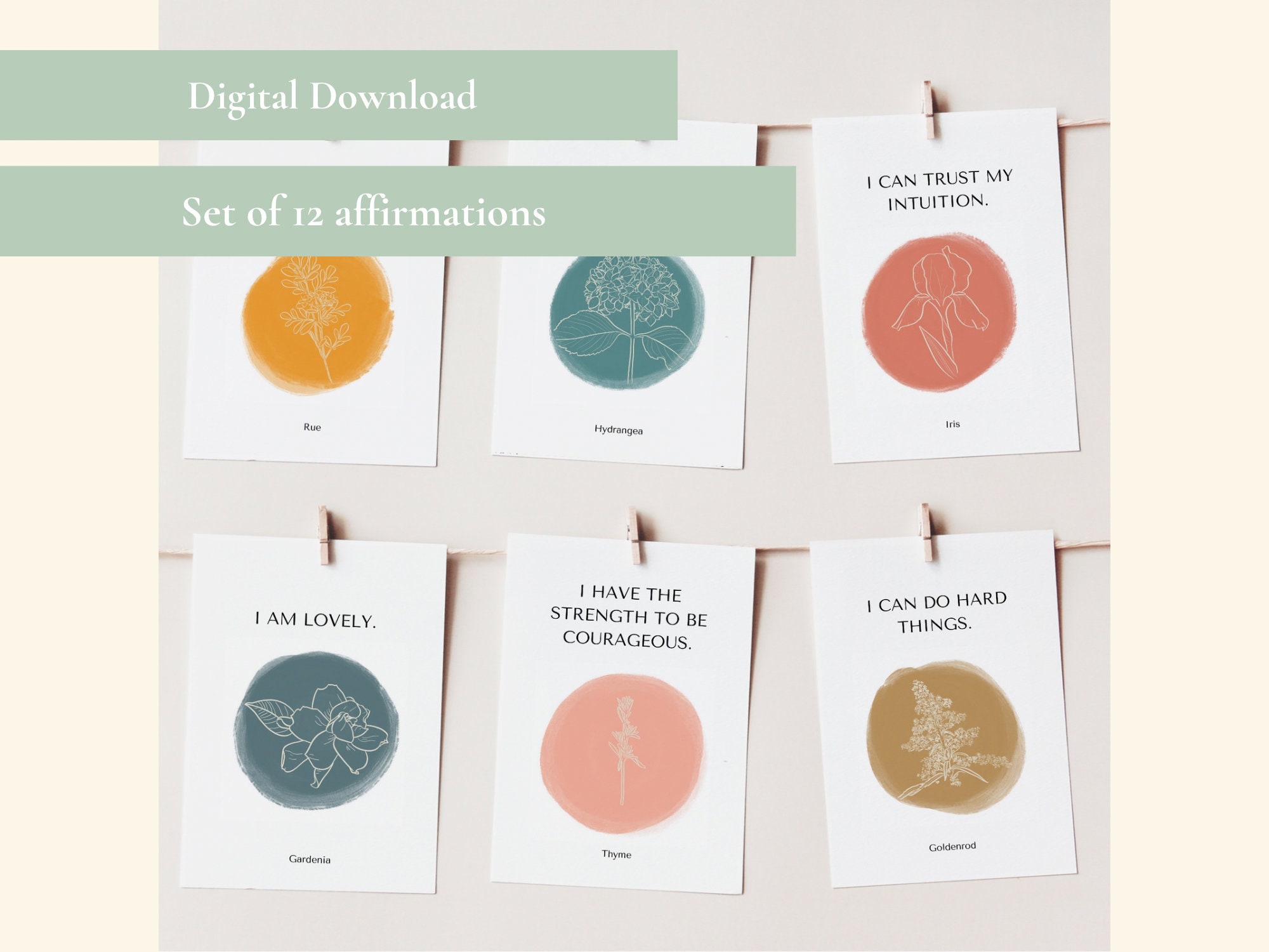 12, Affirmation Cards, Victorian Language of Flowers, Positive ...