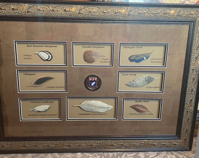 Vintage Diver Duck Collection by John Gewerth Ducks Unlimited - Etsy
