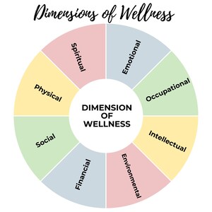 Printable Emotion Wheel Poster/customizable Activity - Etsy