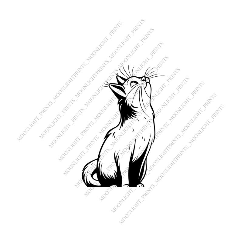 Cute Cats: 5 Cute Easy Designs Coloring Pages by Moonlight Prints ...