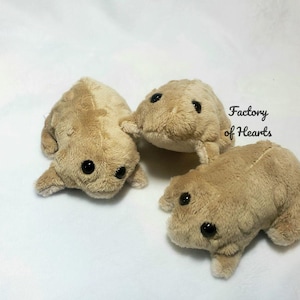 Webkinz Classic Handmade Custom Desert Rain Frog WITH CODE ~multiple ...