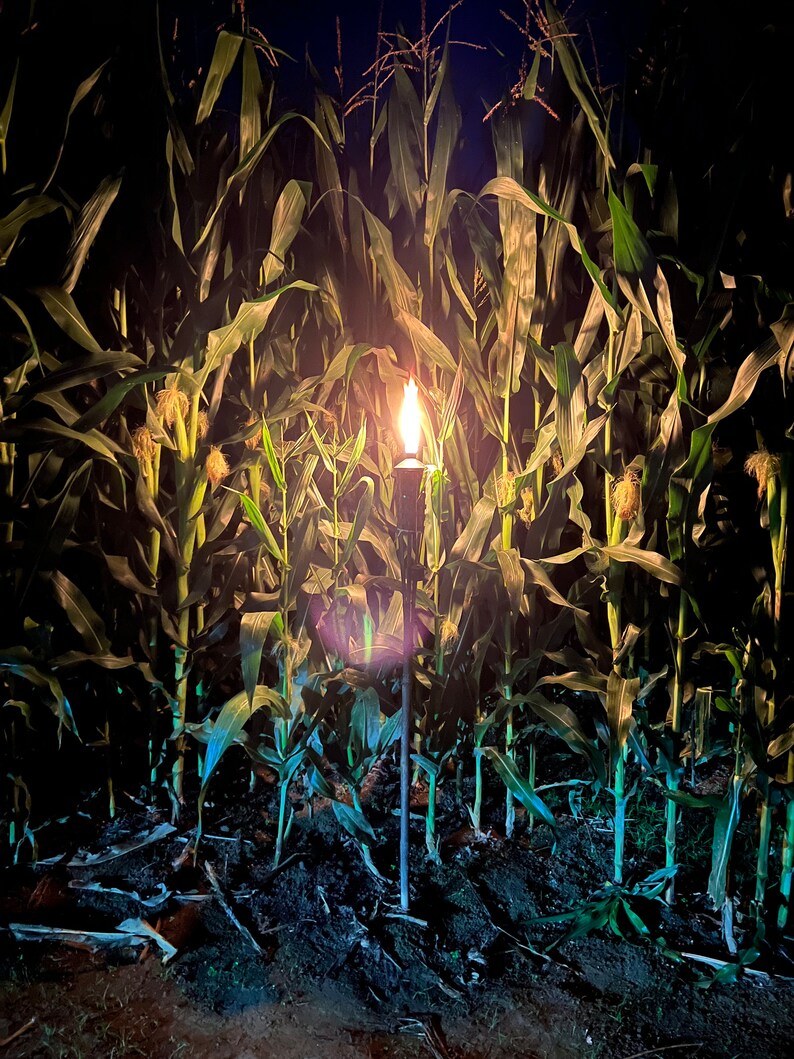Pumpkin Patch Corn Maze - Etsy
