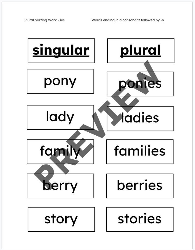 Montessori Plural Sorting Work -ies - Etsy