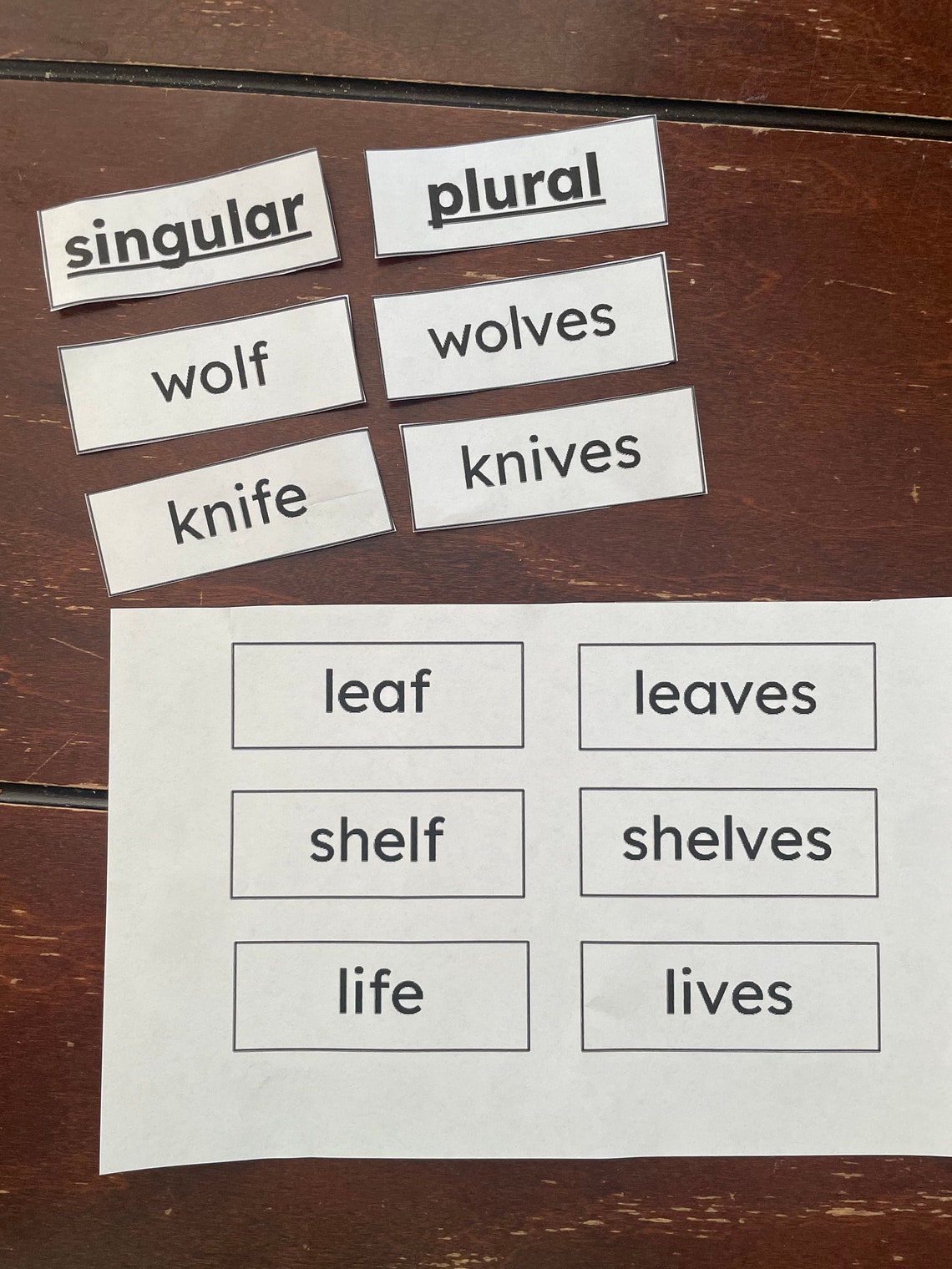 Montessori Plural Sorting Work -ves - Etsy