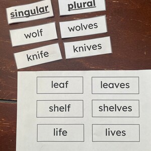 Montessori Plural Sorting Work -ves - Etsy