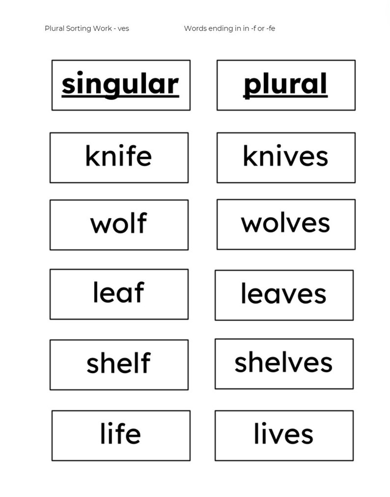 Montessori Plural Sorting Work -ves - Etsy