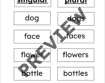 Montessori Plural Sorting Work ves - Etsy