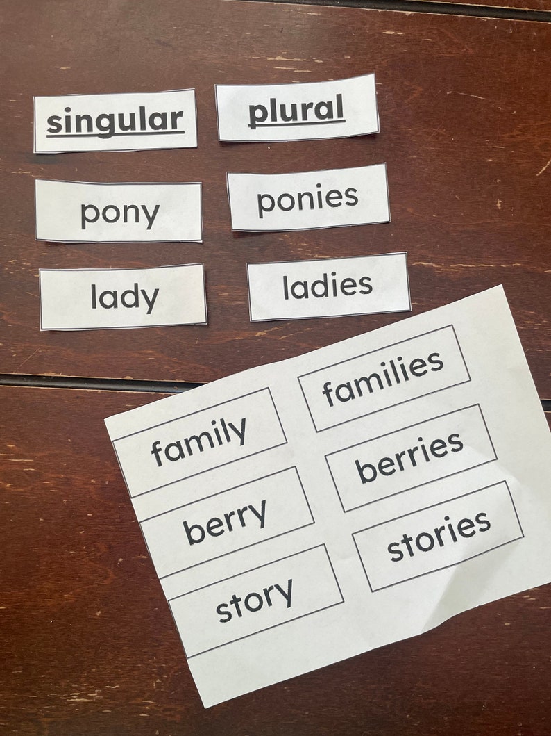 Montessori Plural Sorting Work -ies - Etsy