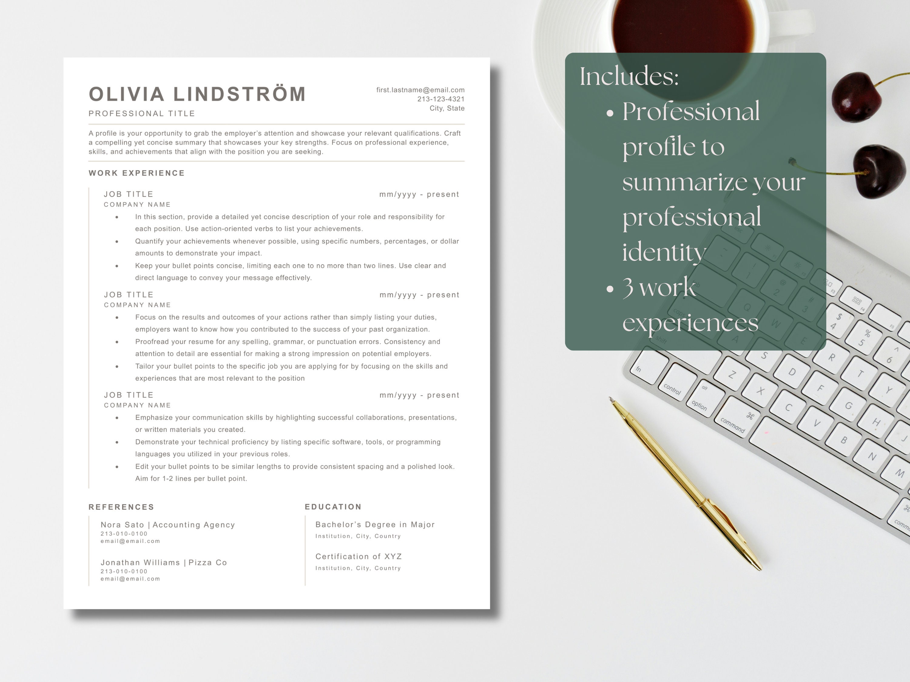 Minimalist Resume Template for Word, Google Docs, & Apple Mac Pages ATS ...