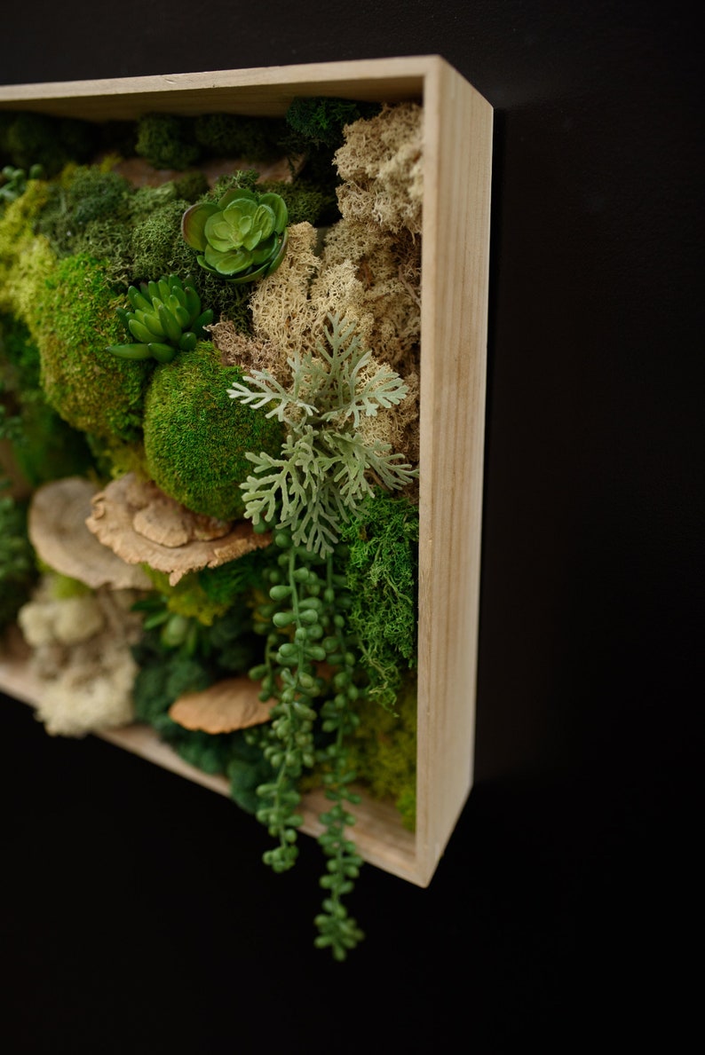Preserved Moss Wall Art Home Decor Natural Green Sustainable Wall ...