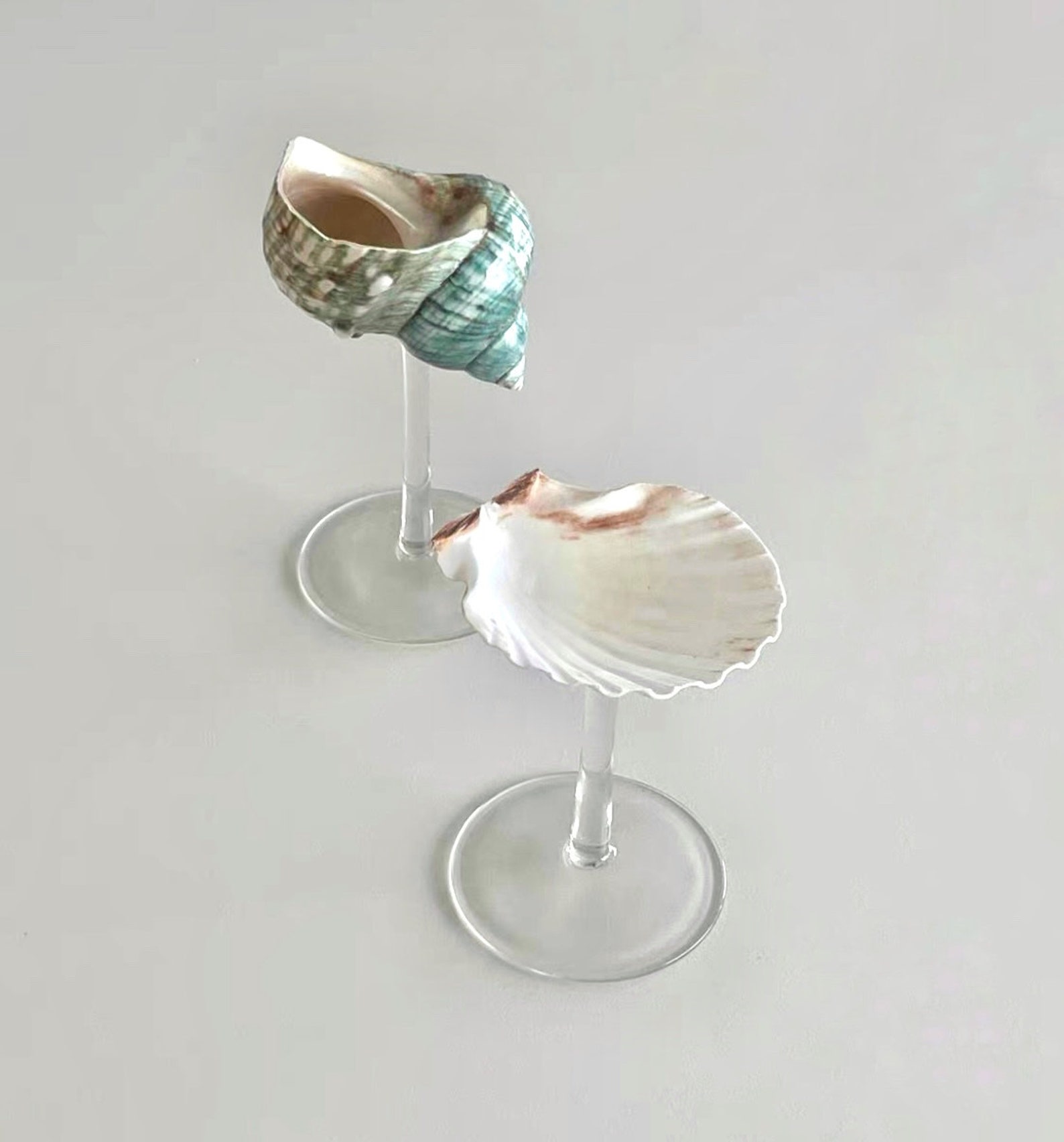 Seashell Glassware Gift Set Wine Coupe Conch Cup Couple Anniversary ...