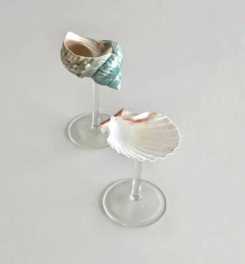 Seashell Glassware Gift Set Wine Coupe Conch Cup Couple Anniversary ...