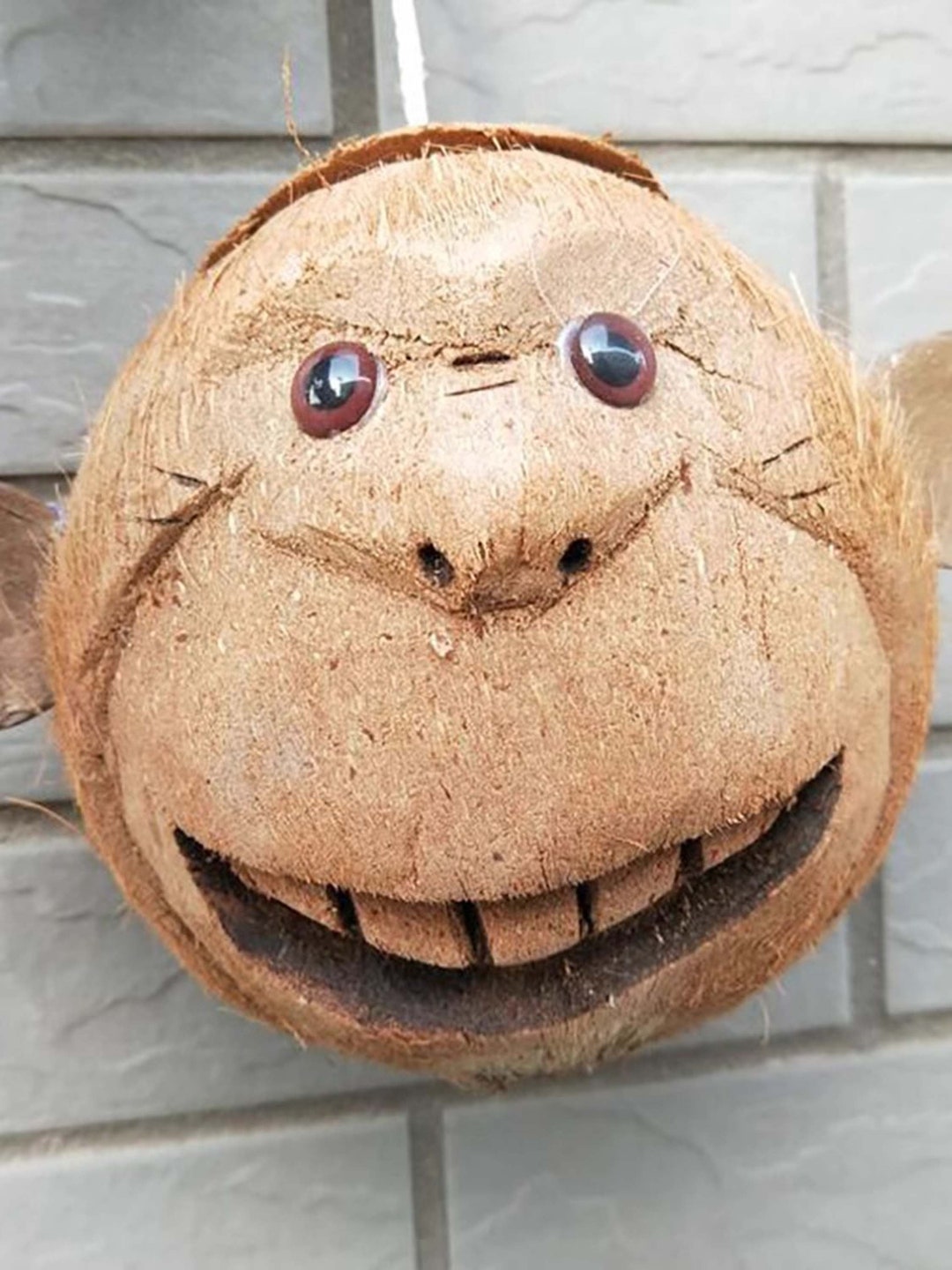 Carved Coconut Head Bird's Nest Hawaii Vintage Kitschy Tiki Bar Party ...