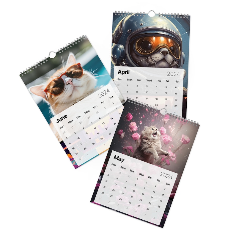 Funny Cat Wall Calendar 2024 - Etsy