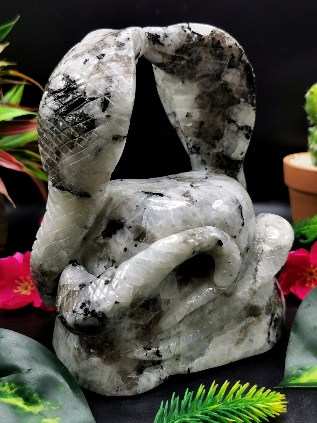 Unique Carving of a Pair of Cobra Snakes With Raised Hood in Moonstone ...