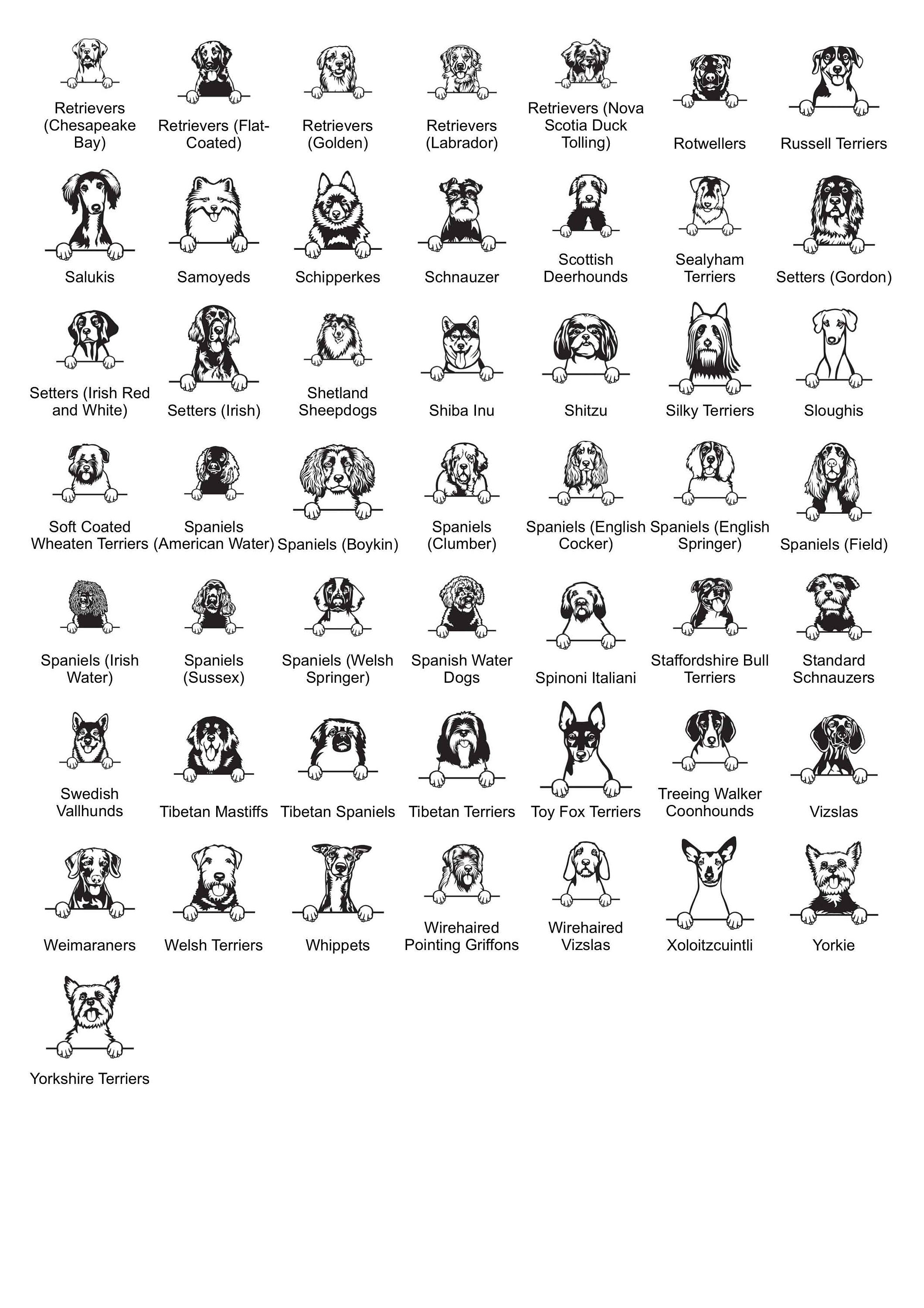 Custom Beagle and Cat Dog Sign Wall Art Dog House Decor Personalized ...