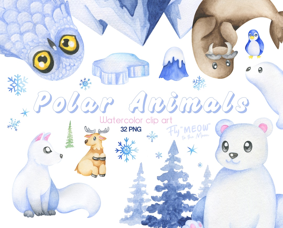 Watercolor Polar Animal Clip Art, Characters, Creatures, Nursery, Baby ...
